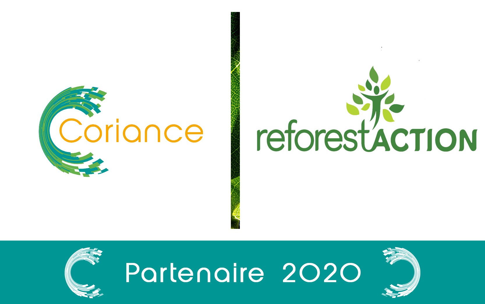 Coriance renouvelle son partenariat avec Reforest’Action ! - Groupe ...