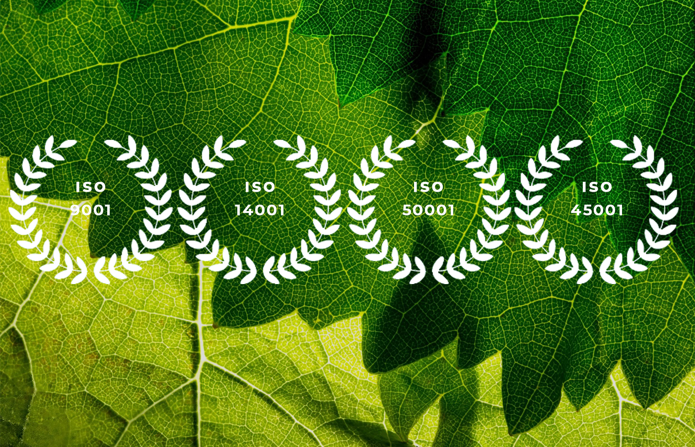 Renouvellement des certifications du groupe Coriance - Groupe Coriance